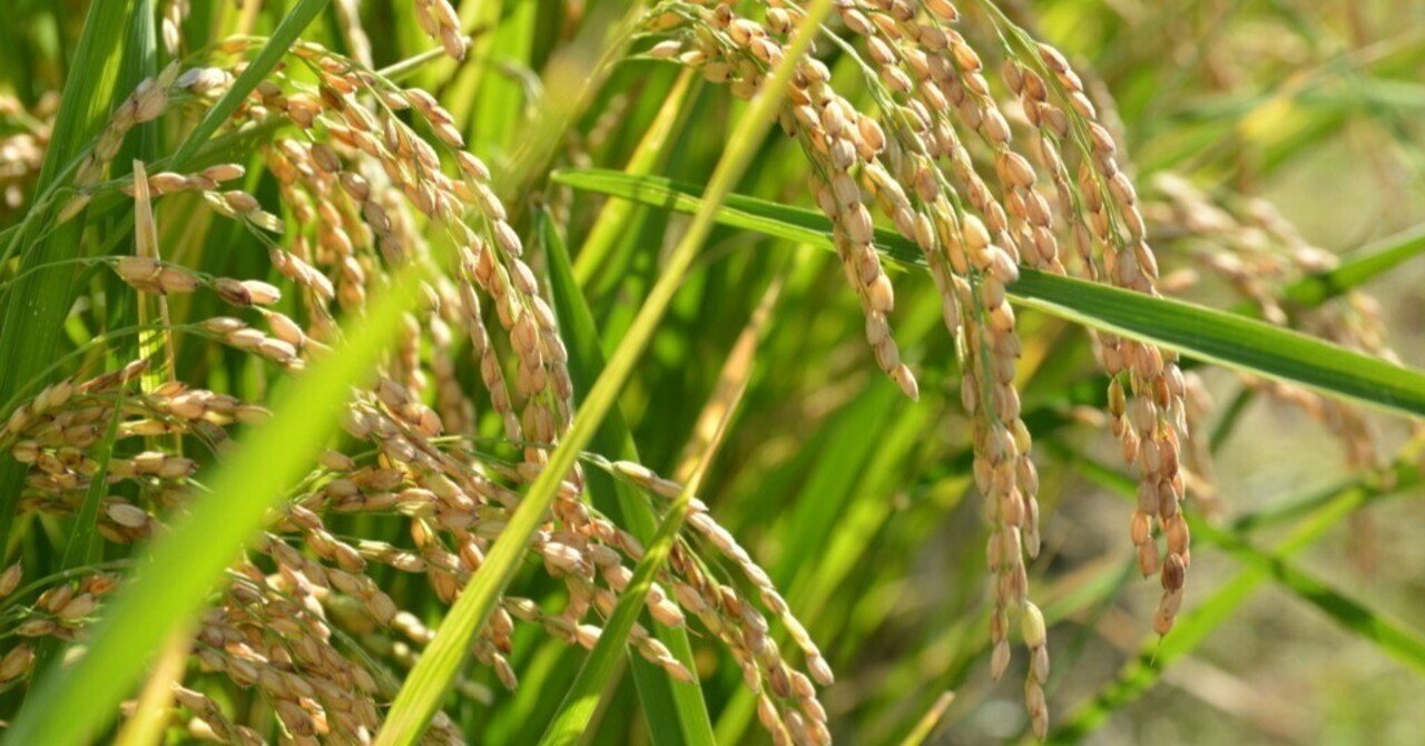 以心伝心クラブ。｜Gengo Seta