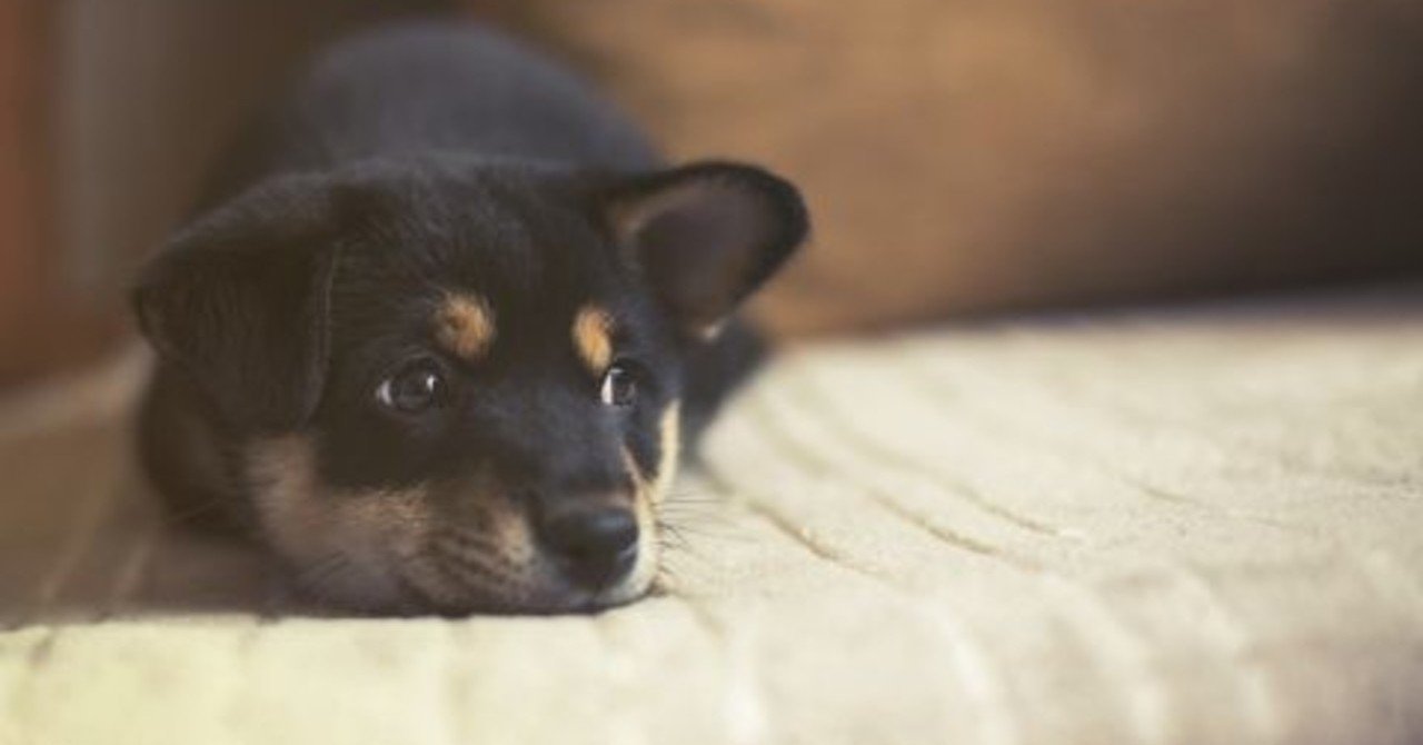 『不便さを楽しむ』とは｜kksa-cfe｜note