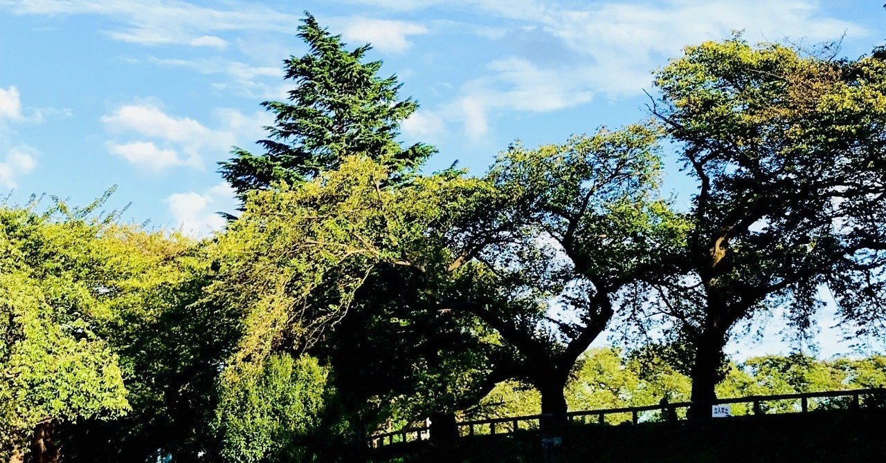 水のなかを歩く 11｜gaku ito