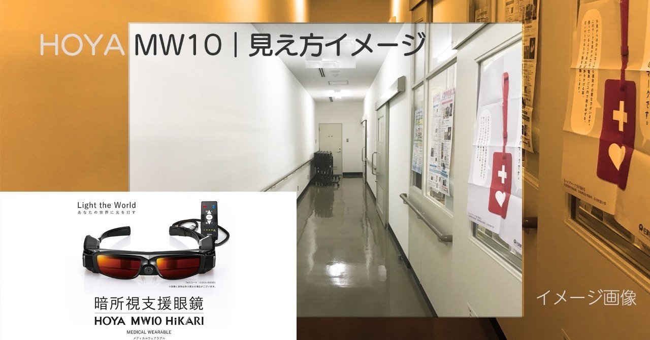 Wearable｜HOYA MW10 HiKARI｜視覚支援｜ryoryo.jp