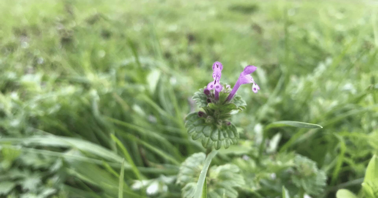 「なんとなく」こそ、自分だけの感性かもしれない｜yuko matsuki