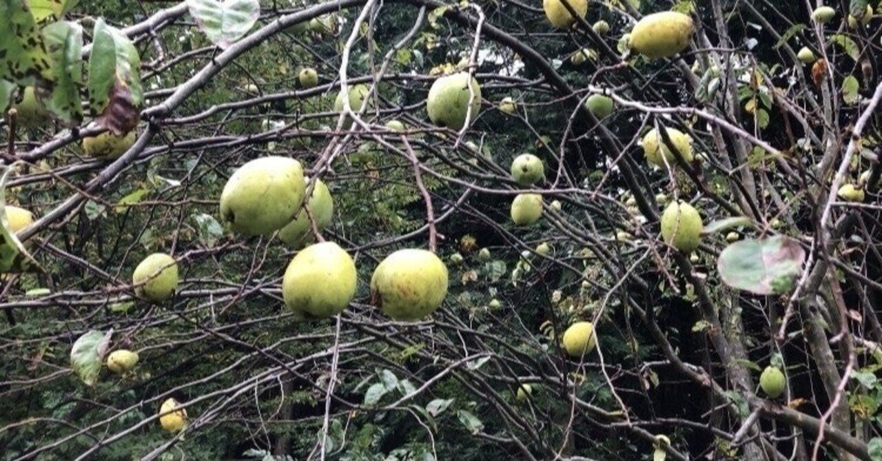 面接で発達障害であることを伝えるかどうか①｜decoboco_mama