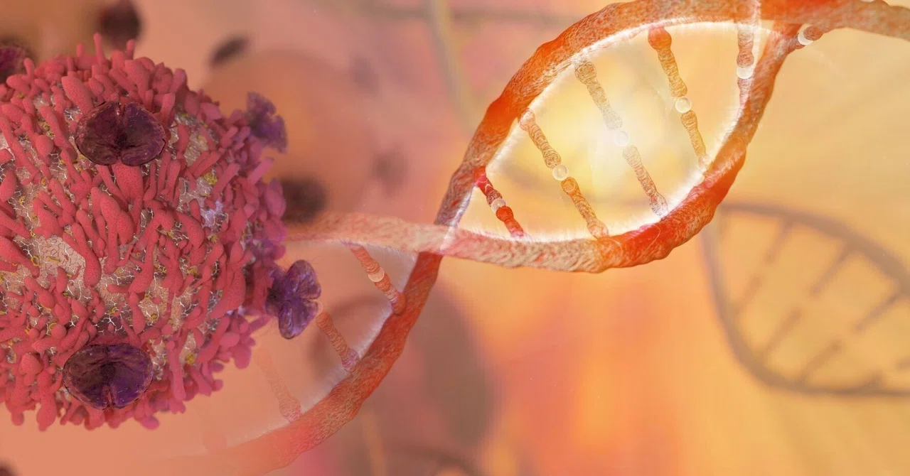 The University of Tokyo Uncovers the Mechanism Preventing iPS Cell ...