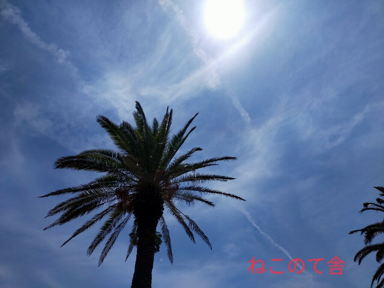 いつでも出来るは いつまでもしない だからこそ！ 出来る内に精一杯 出来ることをやる！ それが大切だと 思うのです☆ そんにゃ会話を仲良しの ...