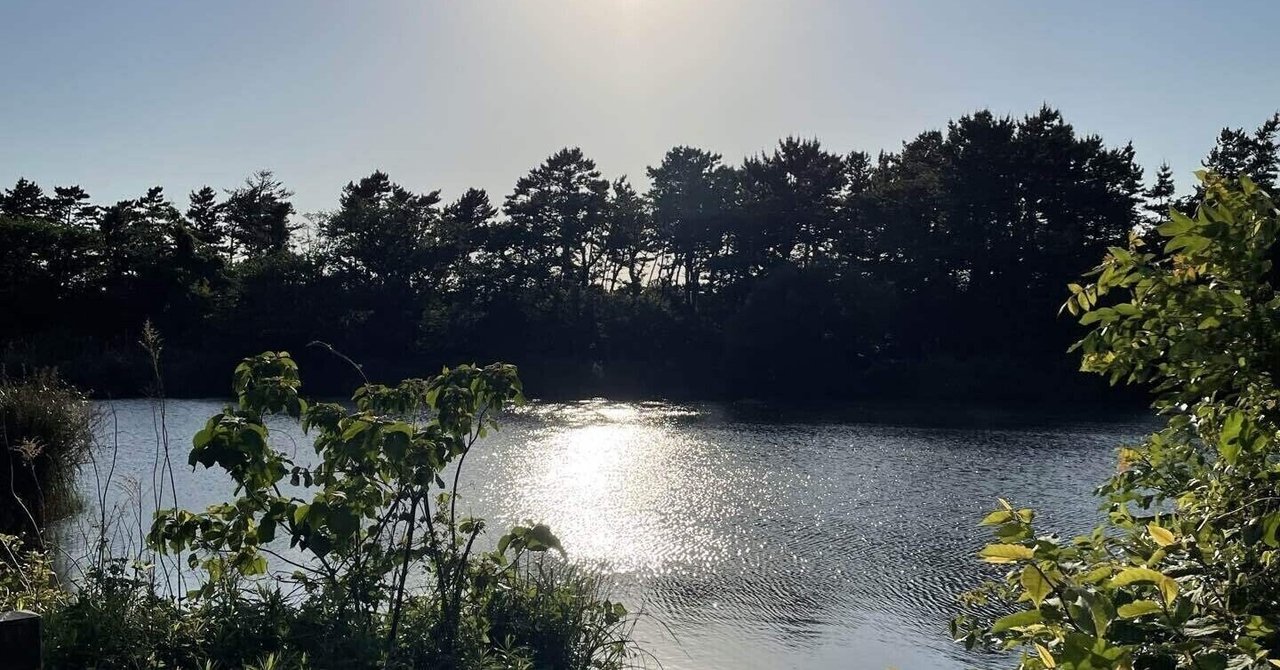 最初の日記｜ryoya｜note