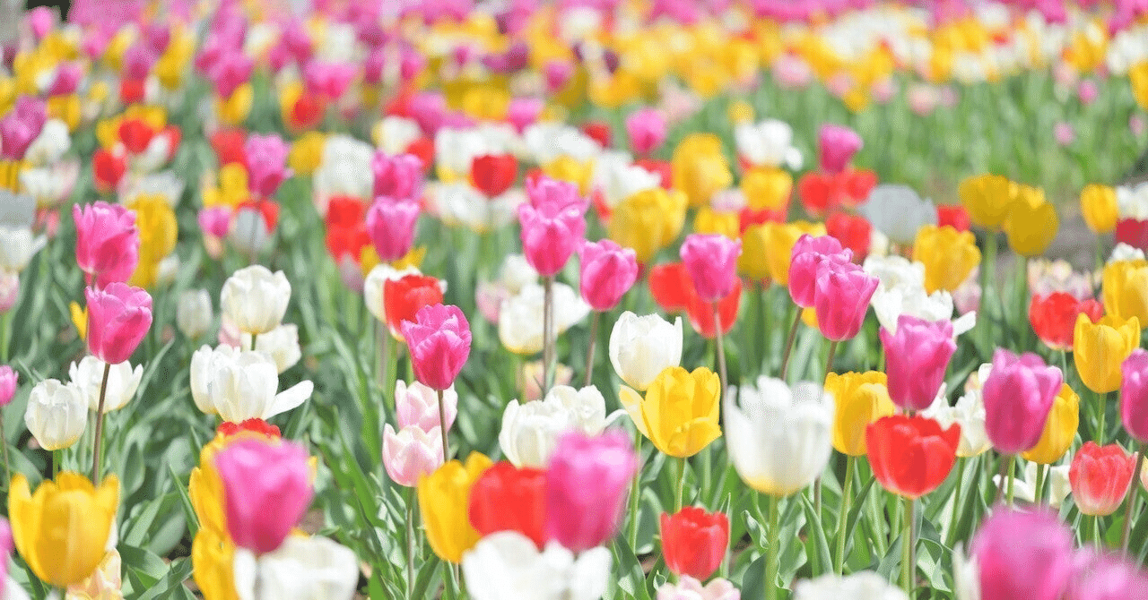 本当にこの学校にご縁があって良かったと思うこと①先生との出会い｜decoboco_mama