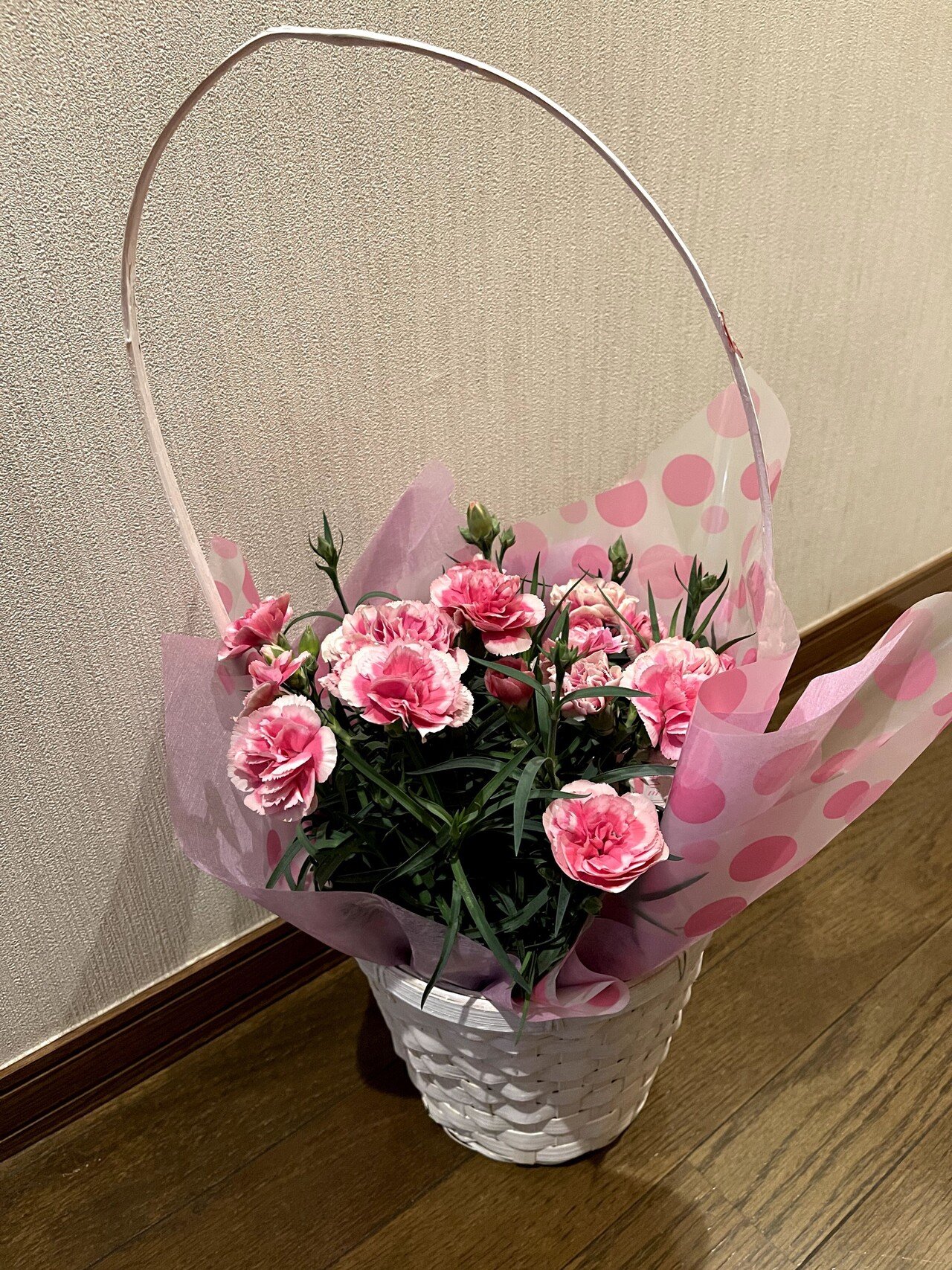 今日は母の日！ ピンクのカーネーションを持って行ったら、出かけていました！ 連絡すれば良かったな〜 毎日会っているので、また明日お話ししよう☆ ｜akeminsu☆｜note