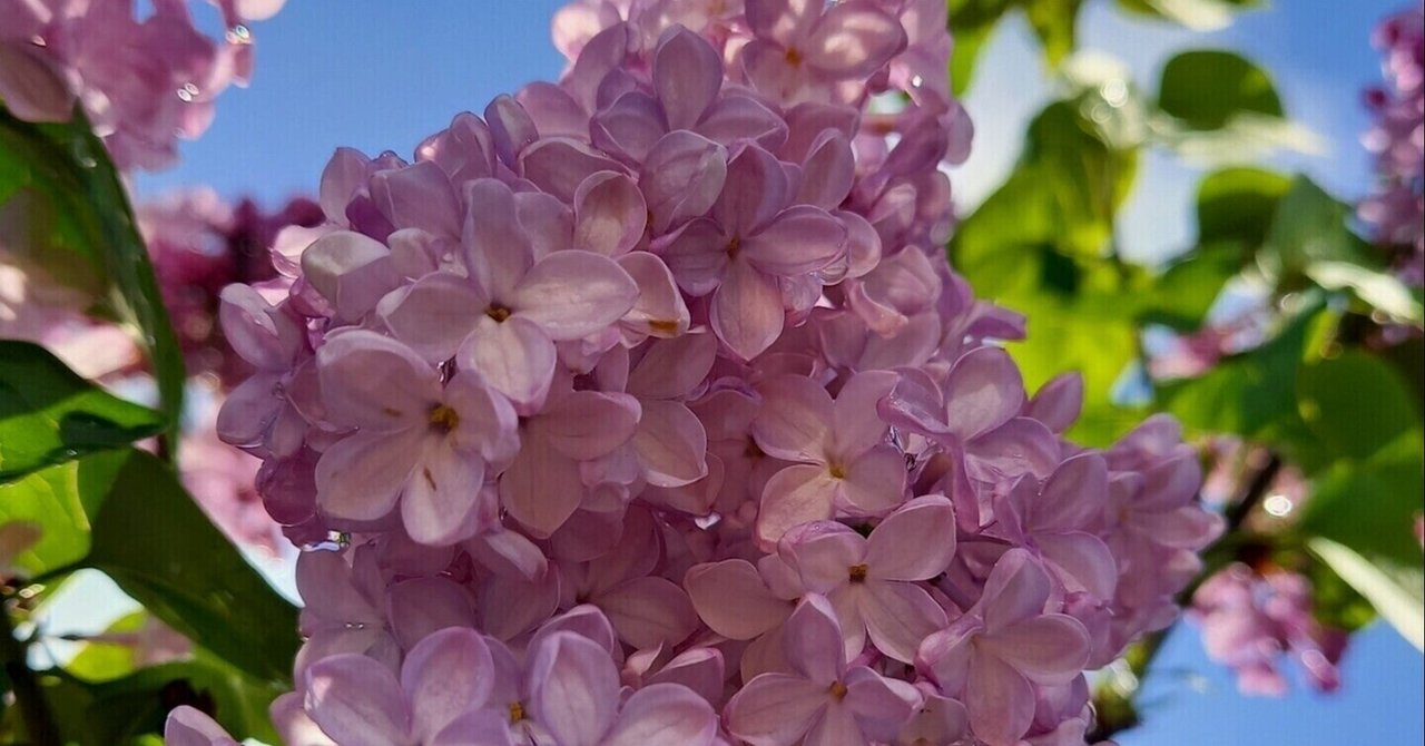 「対話」が切り拓く人と組織の未来｜楠瀬 啓介 KUSUNOSE Keisuke｜note