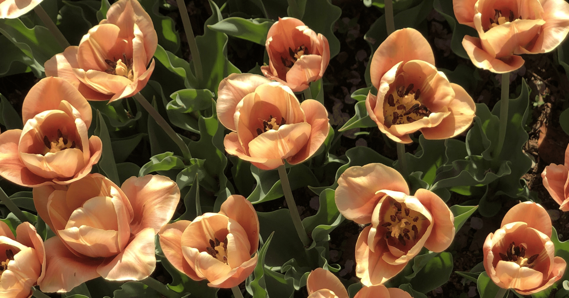 yucami(ゆかみ)🫶🏻食べても太らない体｜note