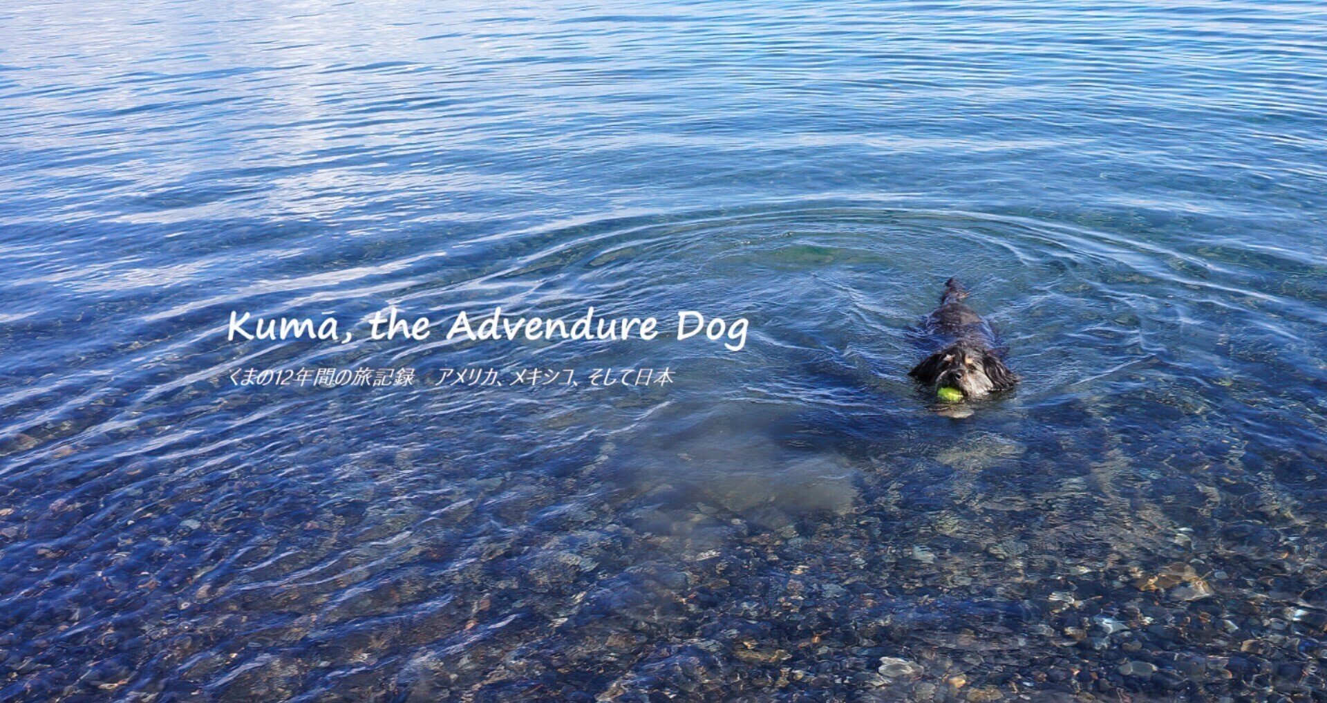 みかどん（Mikako Hoshi)｜note