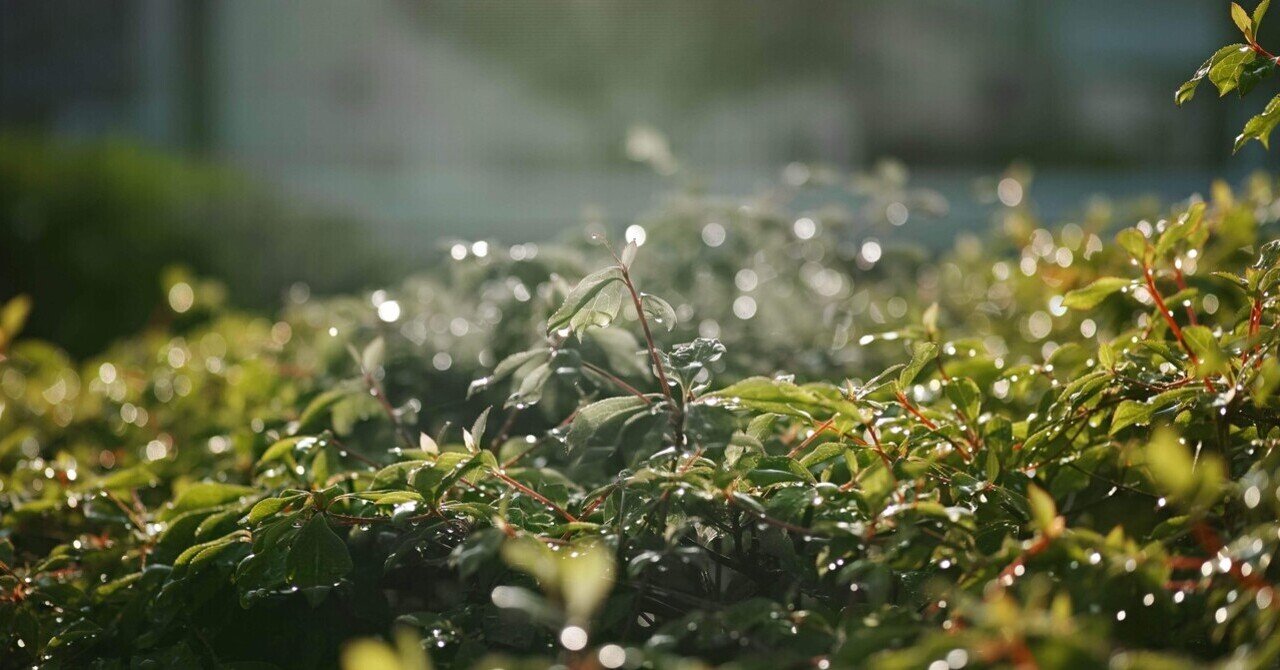 芽吹｜榛風 志堆/Harukaze Shite