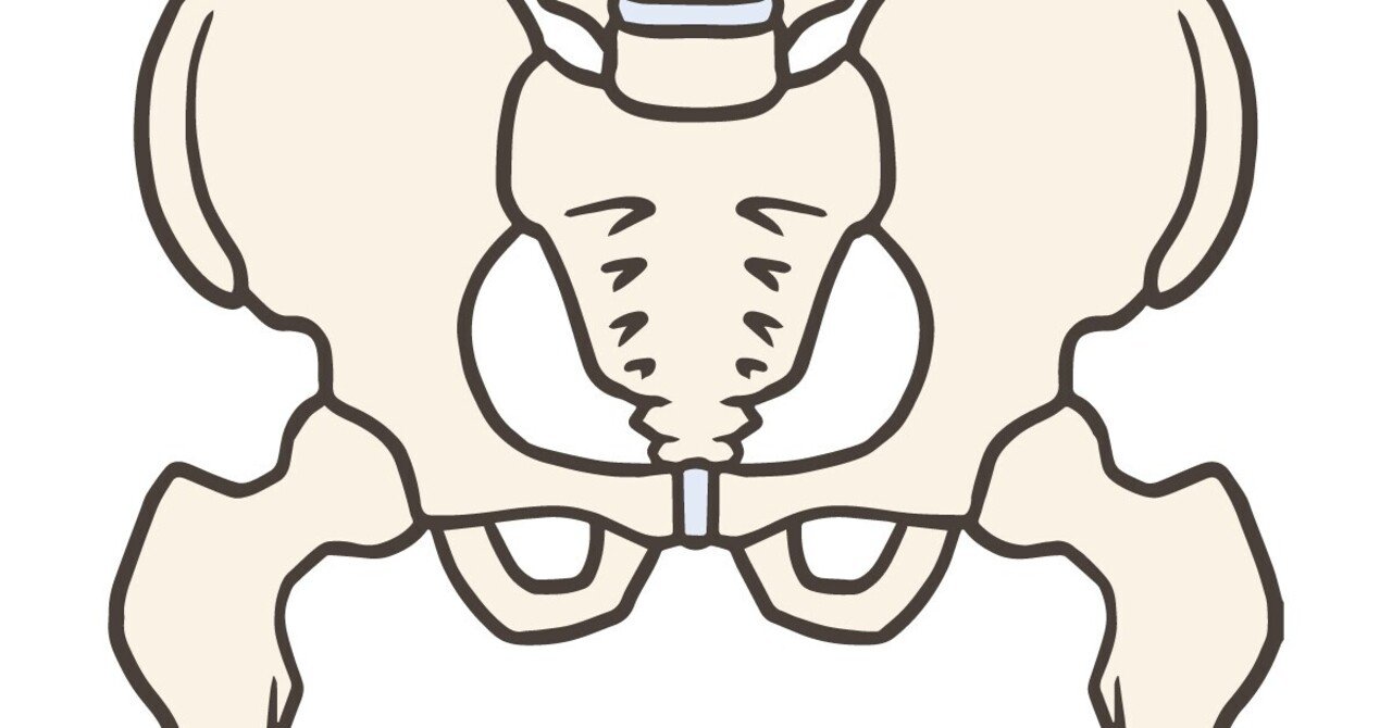 iliocapsularisとは何か｜こうやう