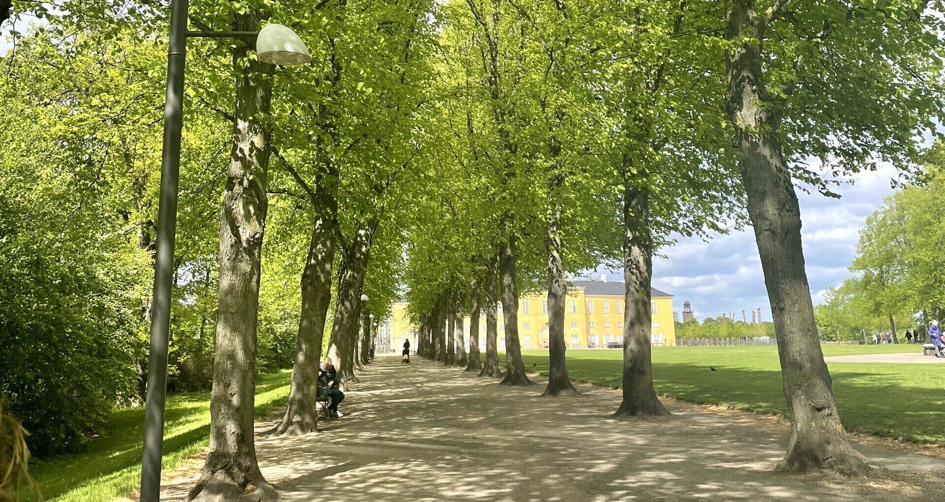 北欧のCoco｜note