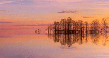 ぷりん / Purin｜note