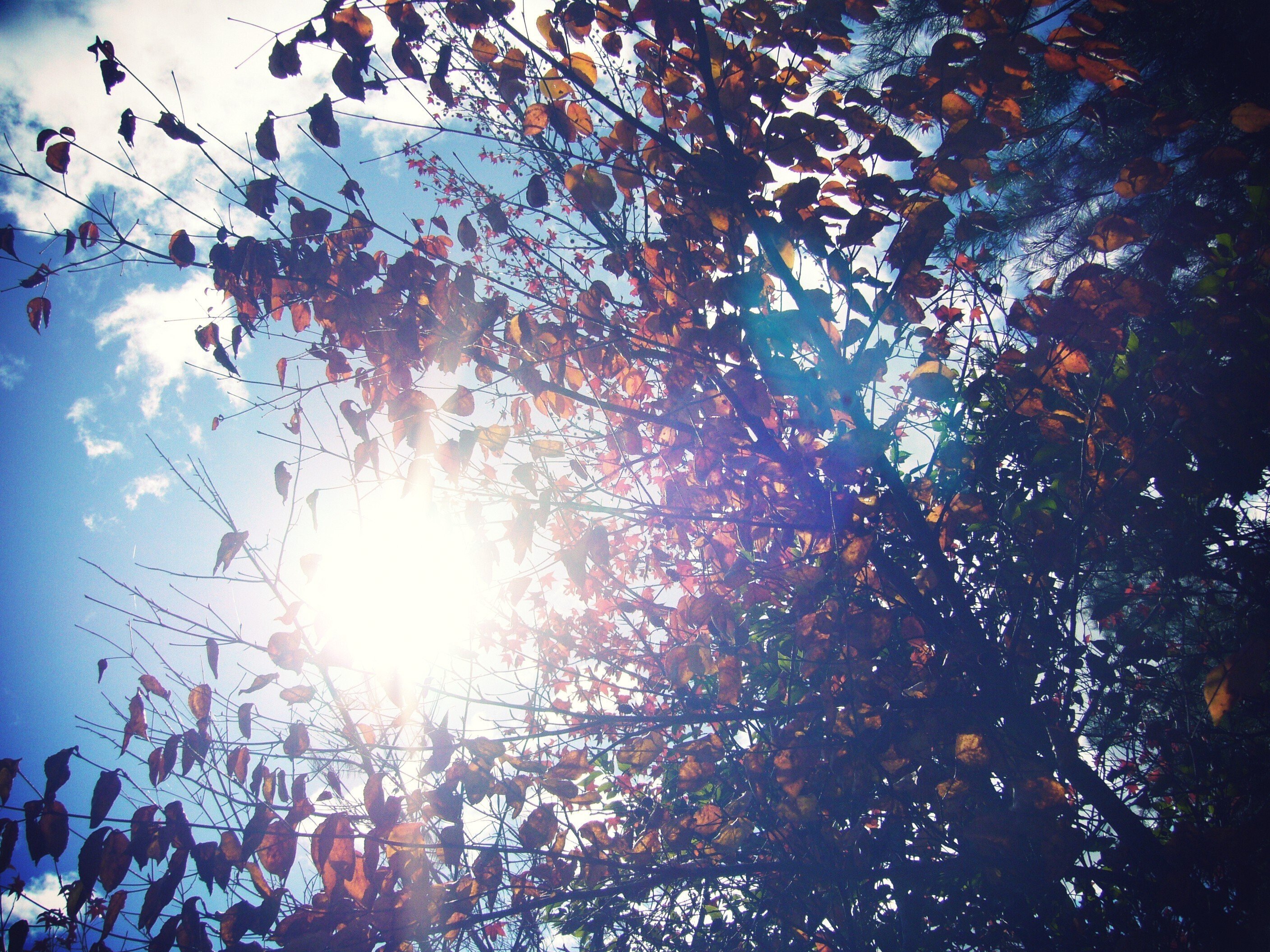 warped_world｜hase3001