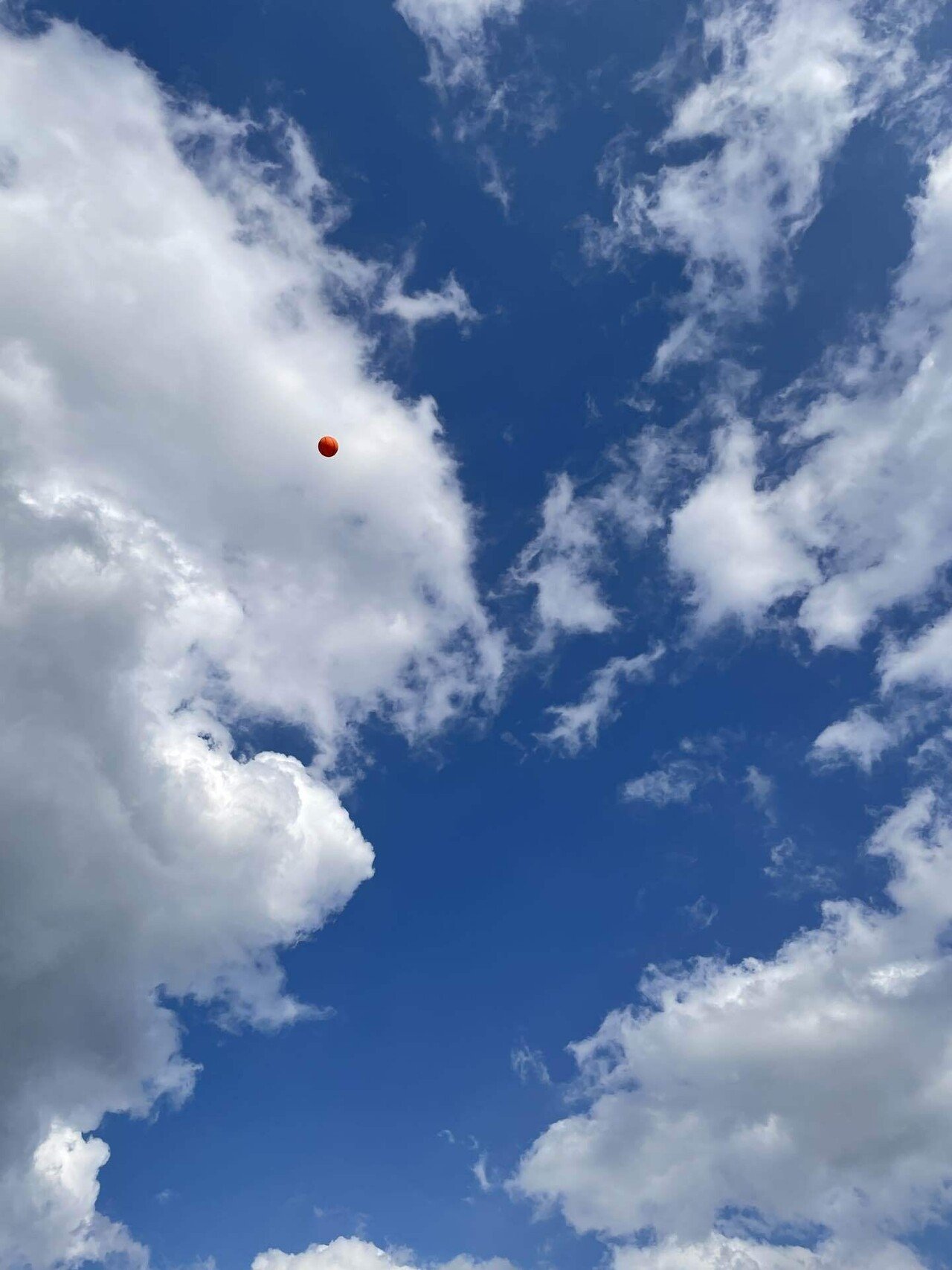 キャッチボール｜taisei_0517