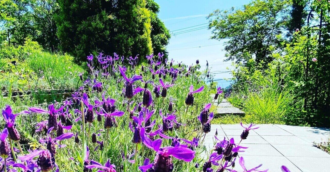 おごとハーブガーデンへ🌿｜tsukimi-aiko