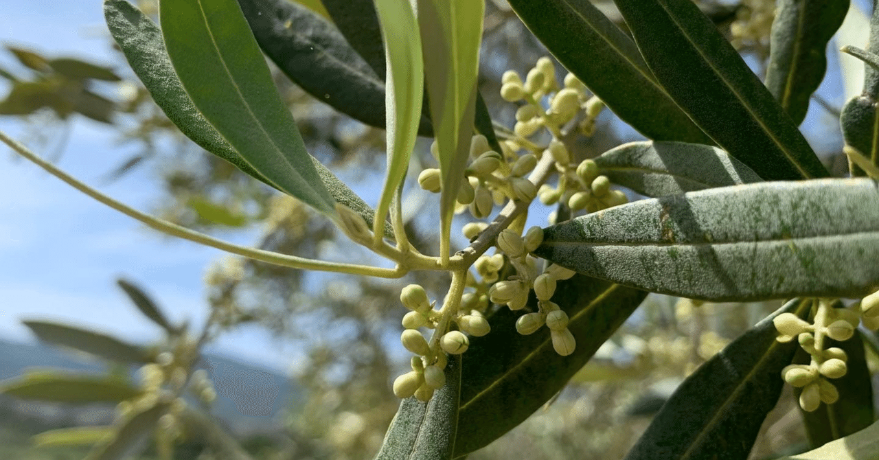 今さらだけど…｜YUKI OTA｜note