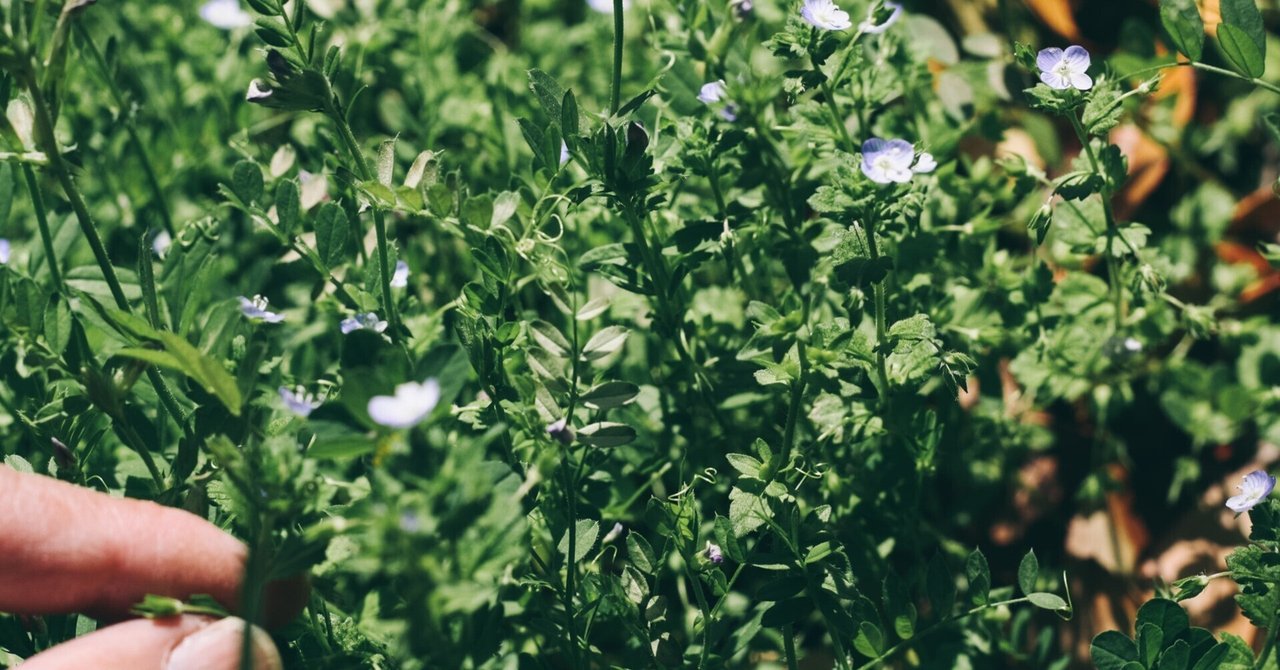 人類学とSTSのセットリストを組んでみる（10曲）｜Shinya Kunihiro｜note