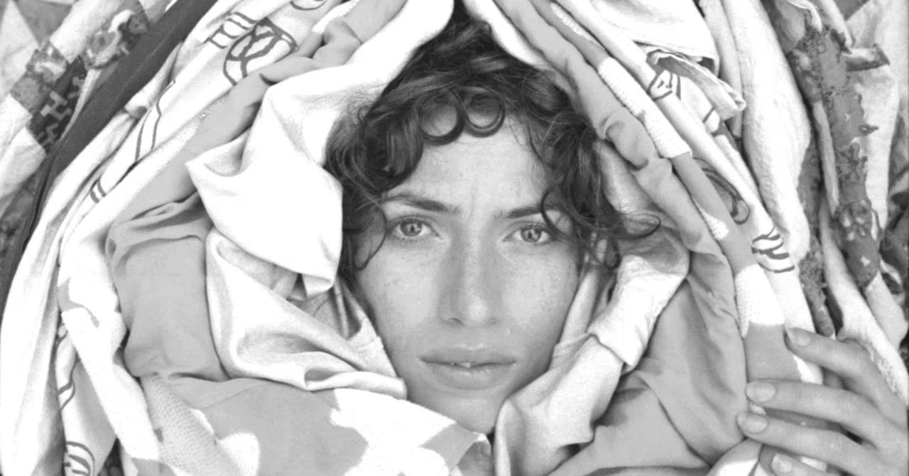 Aldous Harding “Warm Chris”｜ROY