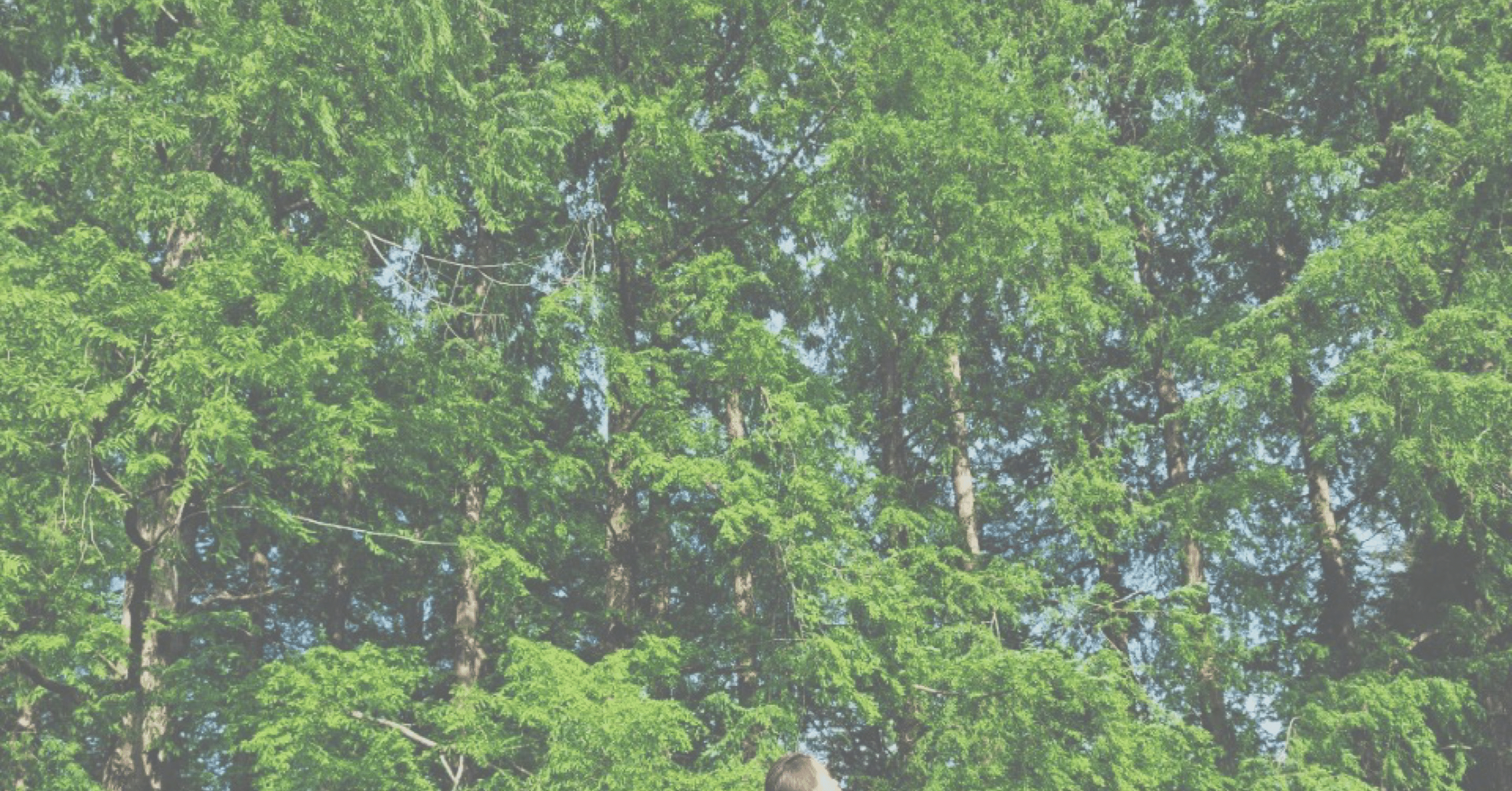 kazuko / yogaの先生×カウンセラー｜note