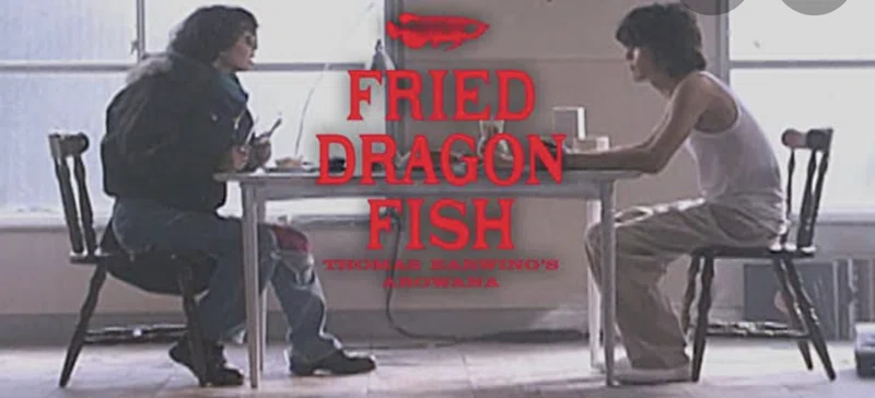 FRIED DRAGON FISH🐠1996 ｜あんずきん