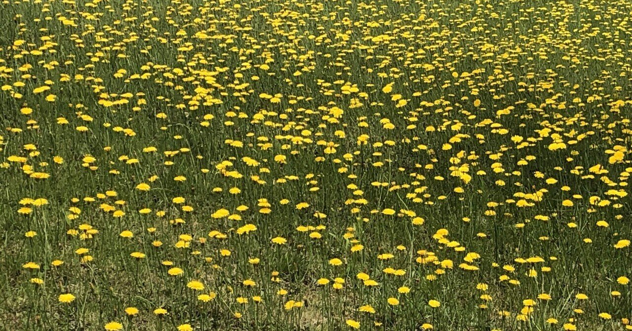 休職日記 8日目｜yuyu_0707