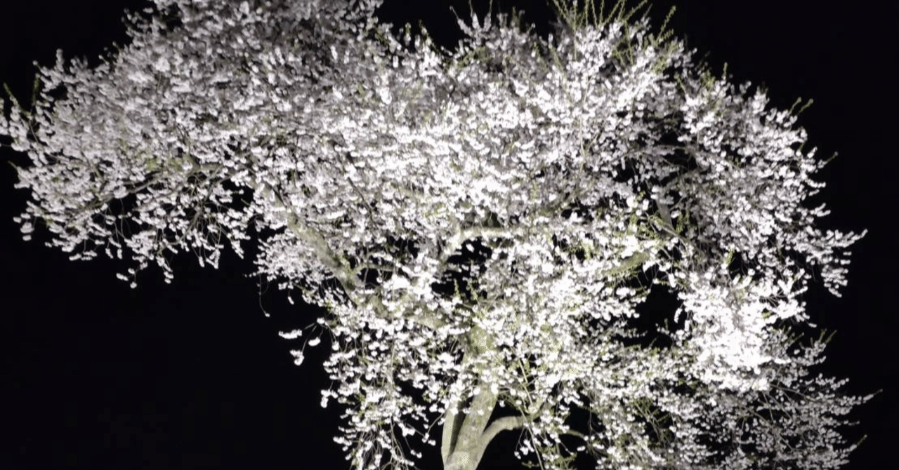 仕事、社会、価値観｜Sadananda Tomohiro