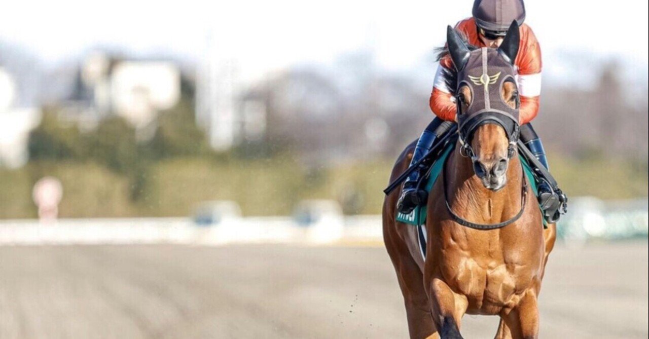 6/2 浦和5R 【信頼度S🌟】 《見解付📝》 ※再販売 ｜Maria先生🐎｜note