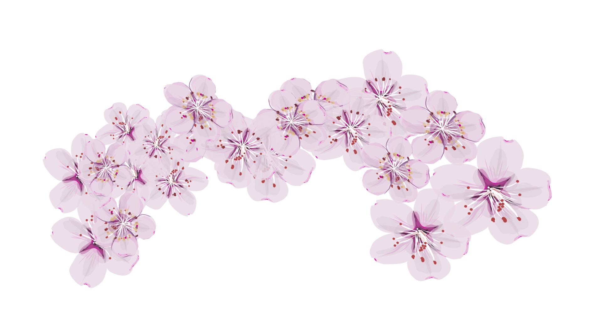 kumamimi_kazu｜note