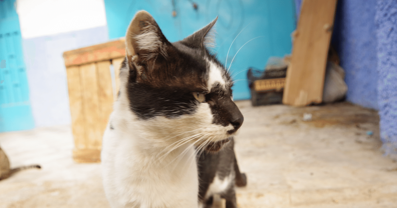 【DAY8】最近怒ったことある？｜きいろぐ｜note