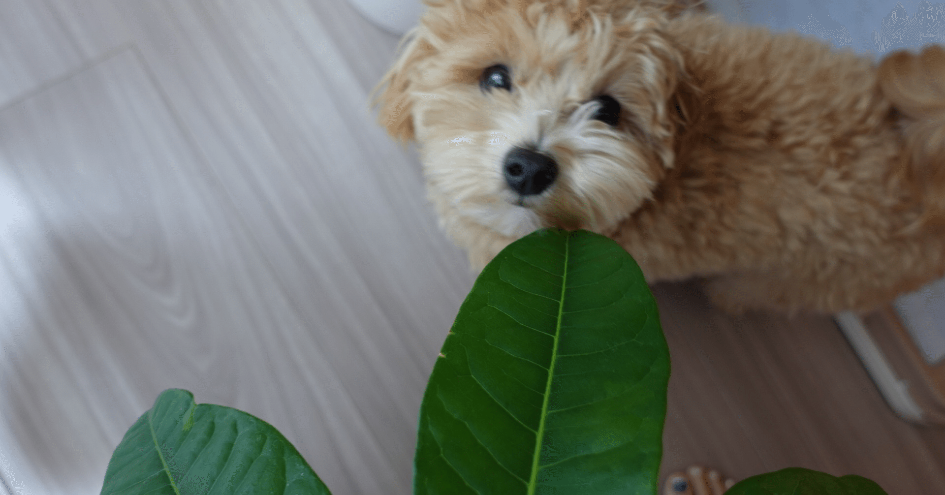 kanaco ｜自分を生きること｜note