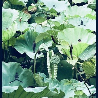 専門用語 社会 エゴ｜Masaking｜note