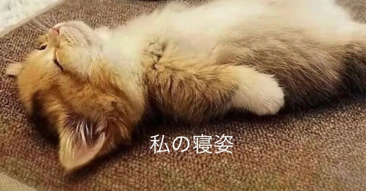 資格に縛られるな｜Satoko Ueda