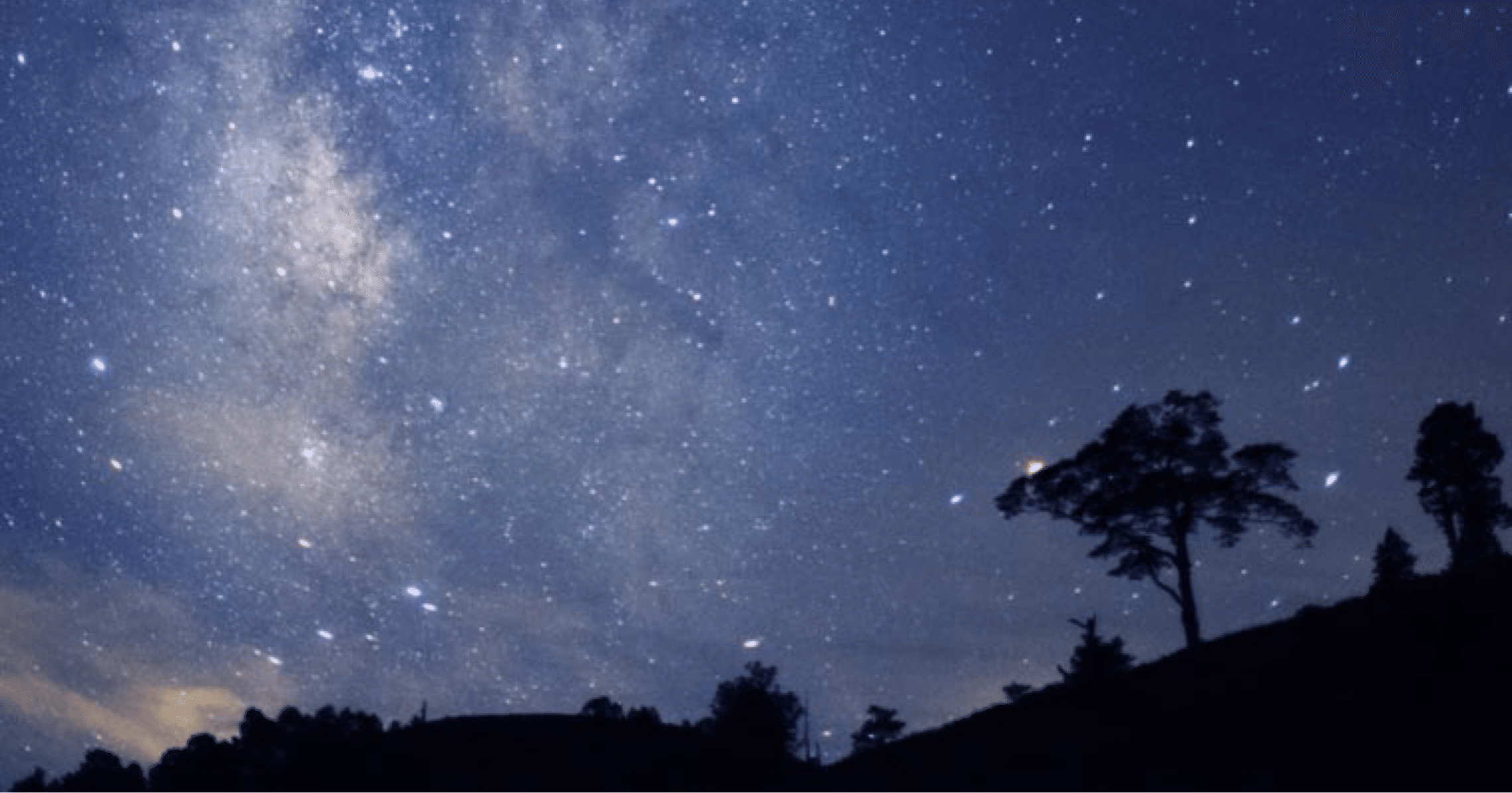 hiyoko_fortune｜note