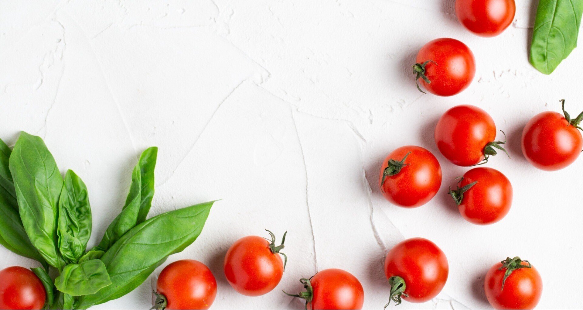 しおん(SHION)｜note