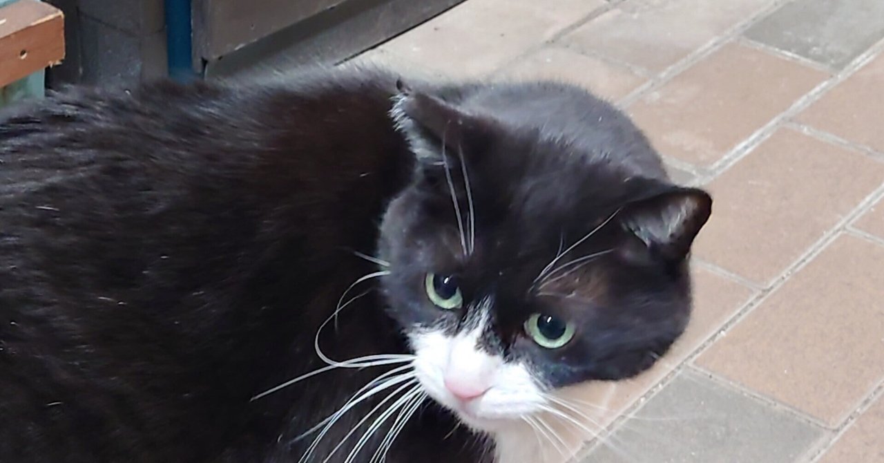 sendai_kabo3792｜note