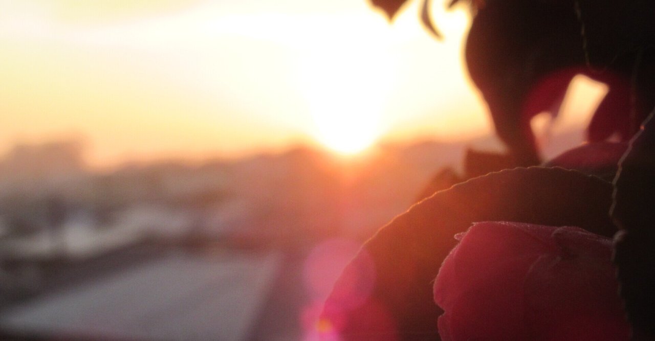 久しぶりに書いてみました！｜Sora Sasaki