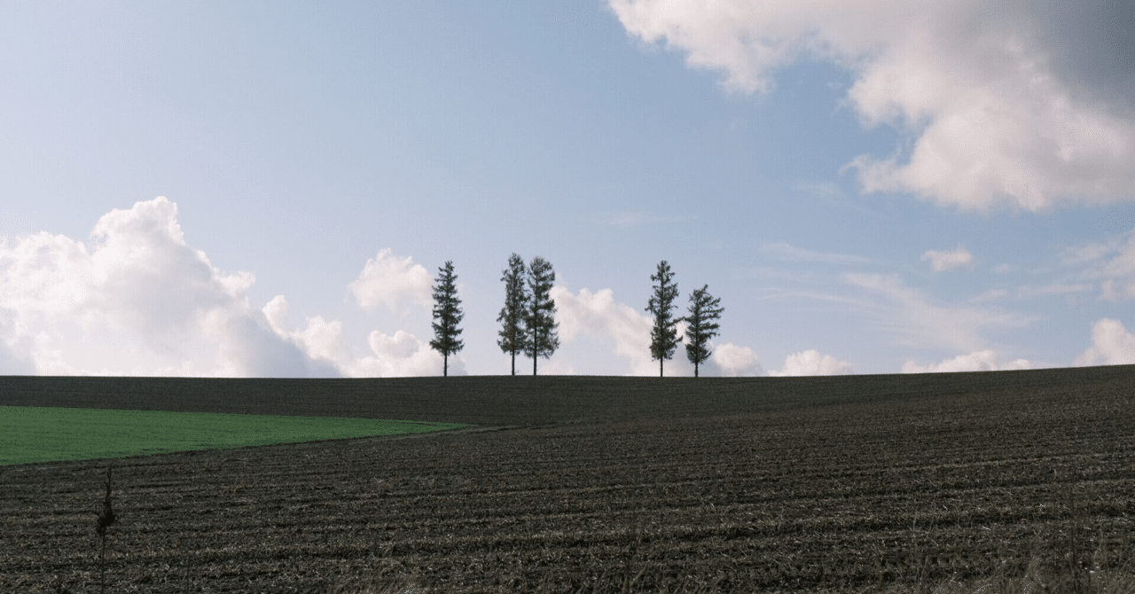 いつの間にか半年、｜saku