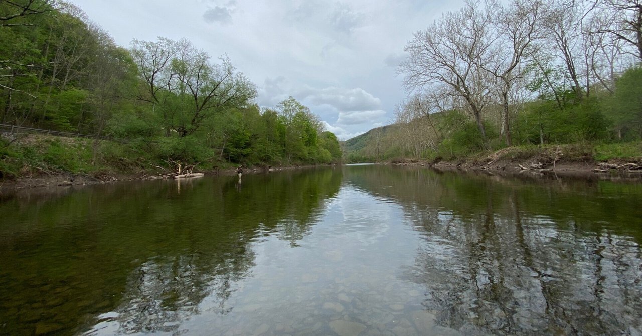 The Beaverkill River｜Fly Fishing倶楽部 of New York City