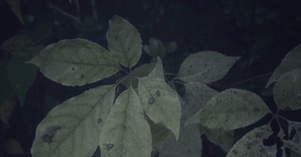 【和訳】Bandit - Sub Urban｜ちゃぬ