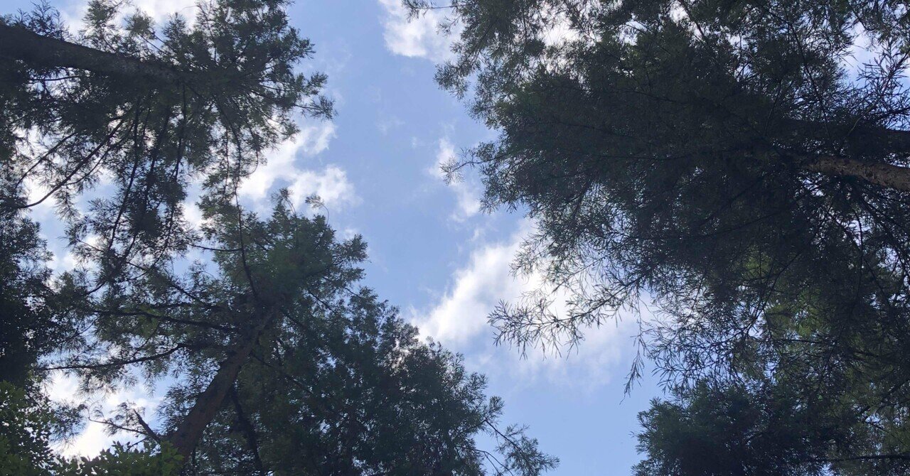 自分で自分を好きになれる自分を目指して｜Naoki Tamura