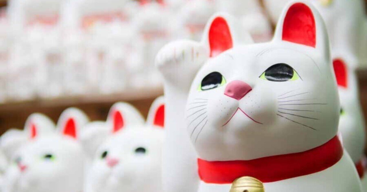 気づきと学びの研究所 ／ Shironeko｜note