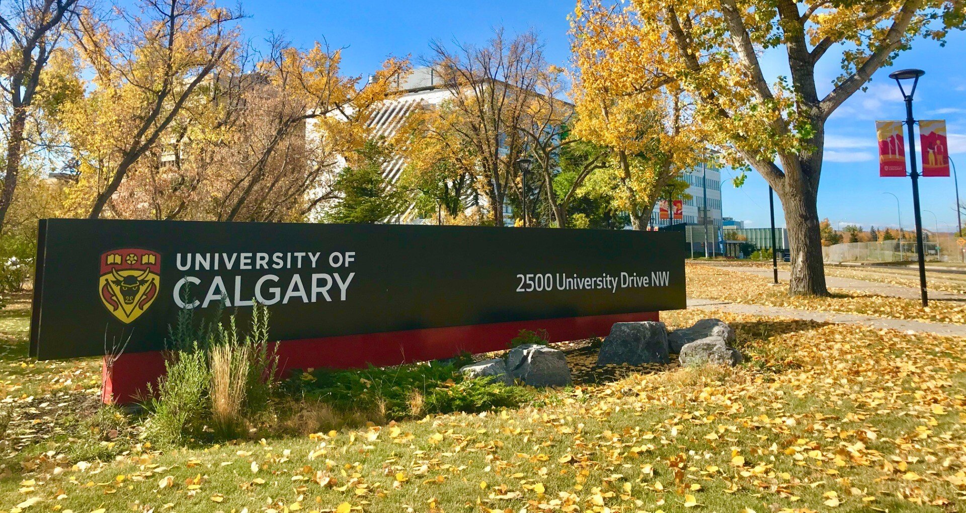 カナダ大学院留学｜Koki｜note