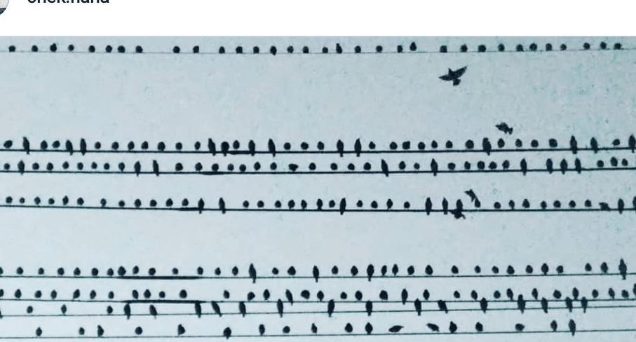 花田千絵子 ｜ Chieko Hanada｜note