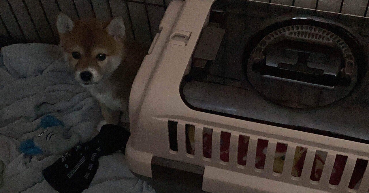 ニコ日記0608｜723nk