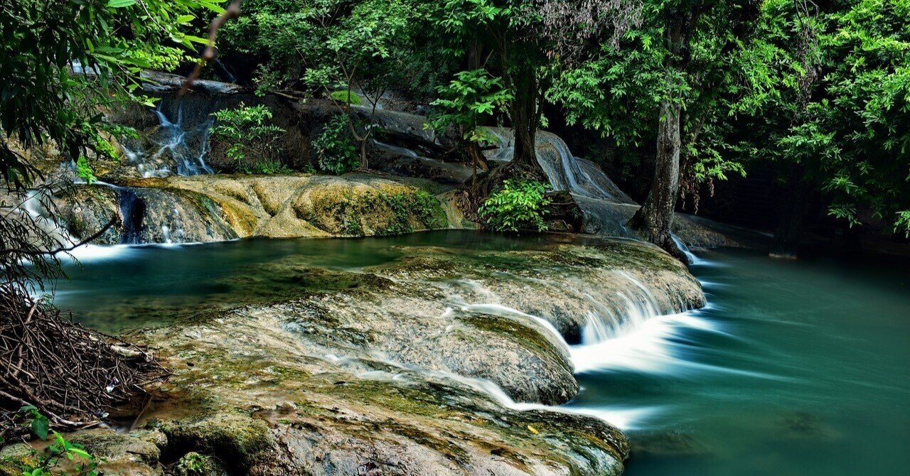 【洋書多読】Forest Bathing（182冊目）｜Ken Sugihara