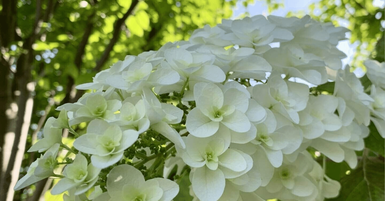 第3回研究会テーマ: 「草の根金融」の動向と課題 ｜古沢広祐（Furusawa Koyu）