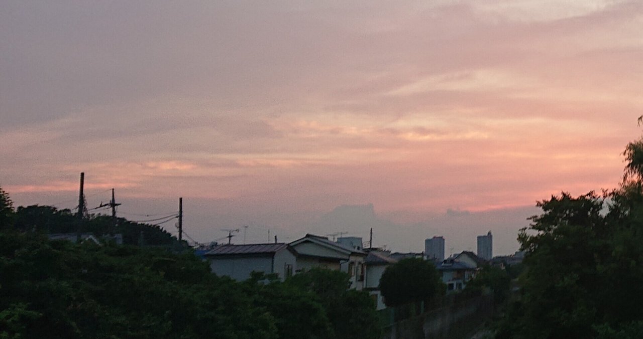 レプタ二枚の時間｜michiko｜note