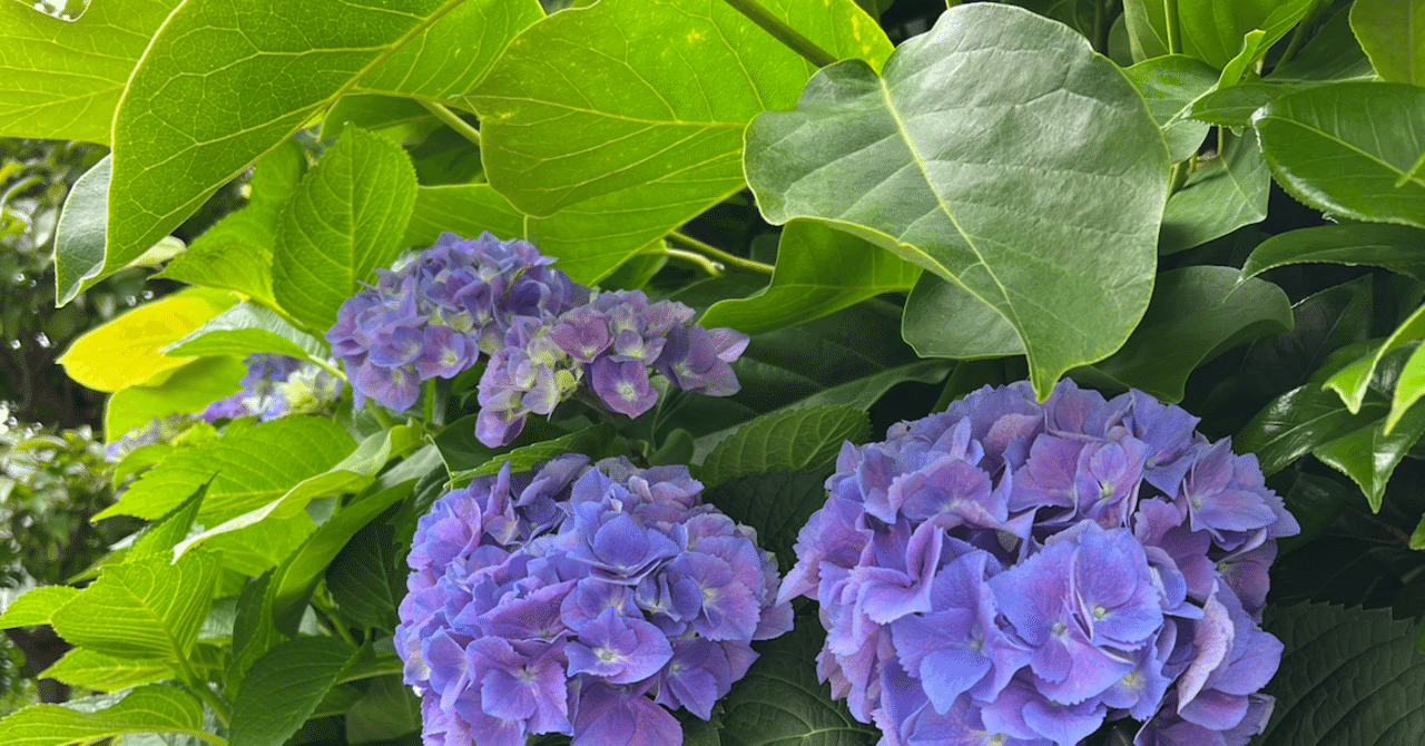 3年前の今日「【96】慣れればできるようになること」｜Takako Kanai